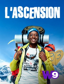 Regarder W9 en direct - live streaming sur Molotov.tv