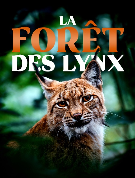 La forêt des lynx en streaming gratuit sur France 5