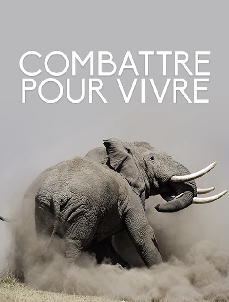 Combattre pour vivre en streaming gratuit sur France 5