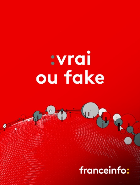 Vrai ou Fake en streaming gratuit sur franceinfo:
