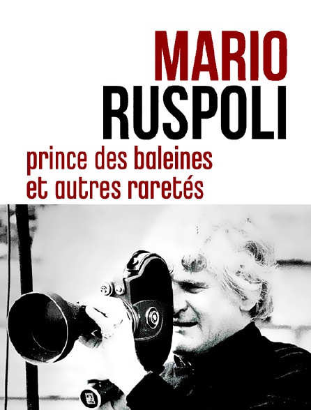 Mario Ruspoli, prince des baleines et autres raretés en streaming sur ...