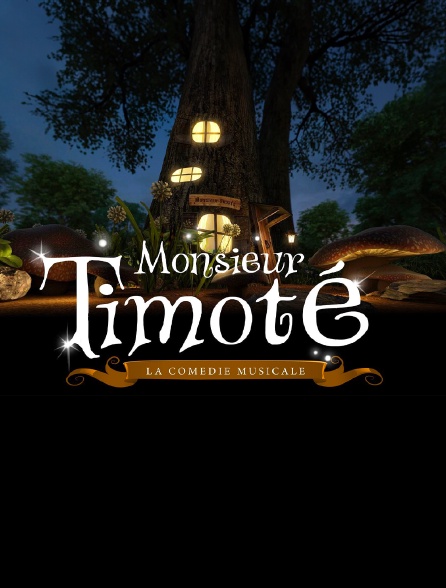 Monsieur Timoté en streaming sur TV5MONDE