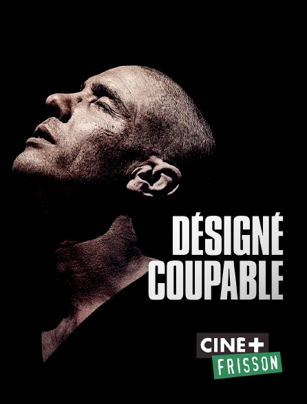 Regarder Ciné+ Frisson en direct - live streaming sur Molotov.tv