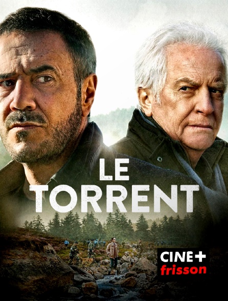 Le torrent en streaming sur CINE+ Frisson