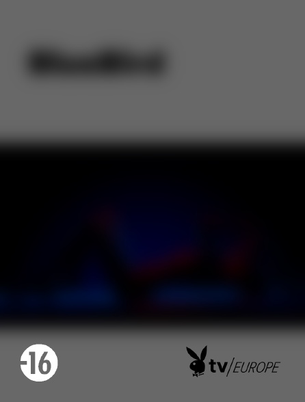 BlueBird en streaming sur Playboy TV