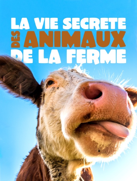 La vie secrète des animaux de la ferme en streaming gratuit sur France 5