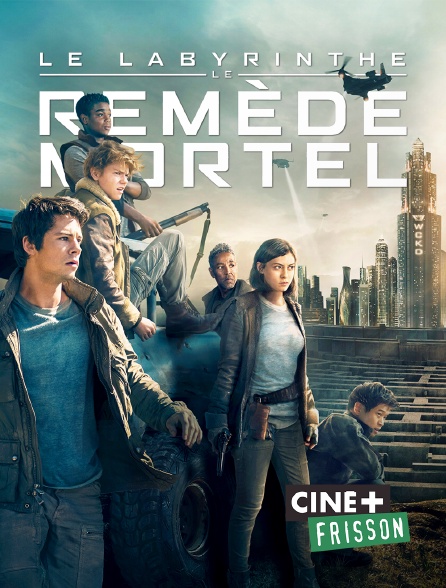 Regarder Ciné+ Frisson en replay - live streaming sur Molotov.tv