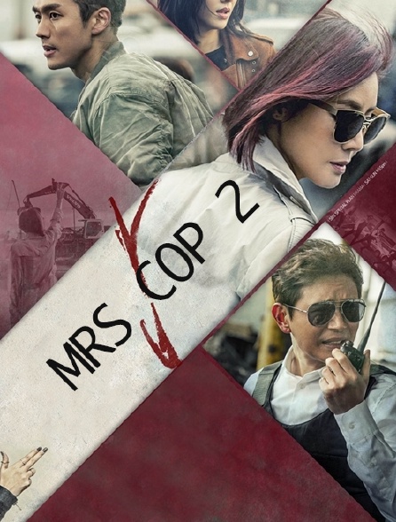Mrs Cop 2 en streaming sur GONG