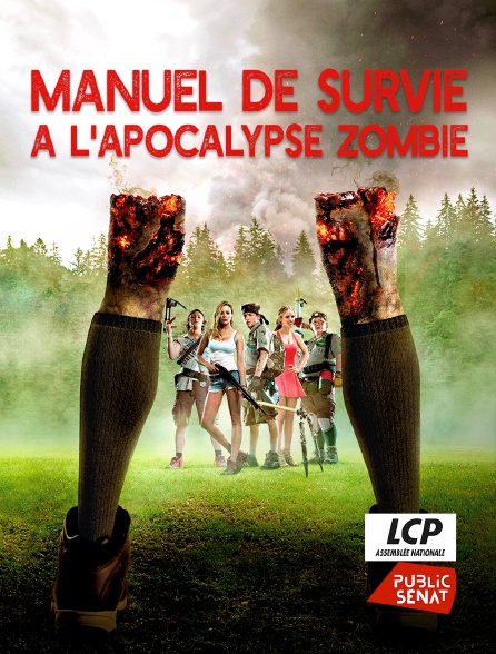 Manuel de survie à l'apocalypse zombie en streaming gratuit sur LCP ...