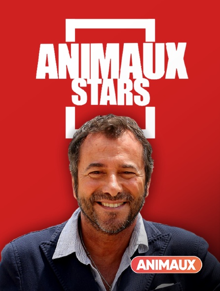 Animaux stars en Streaming & Replay sur Animaux - Molotov.tv