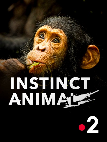 Instinct animal en streaming & replay gratuit sur France 2