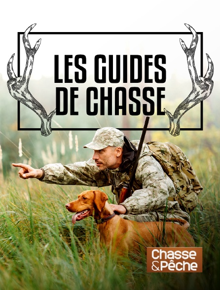 Les guides de chasse en streaming sur Chasse et pêche