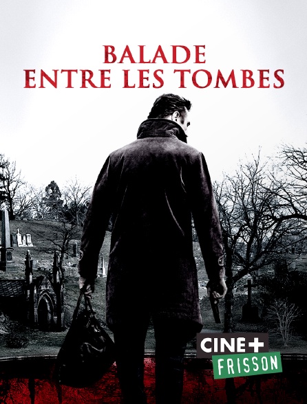 Regarder Ciné+ Frisson en replay - live streaming sur Molotov.tv