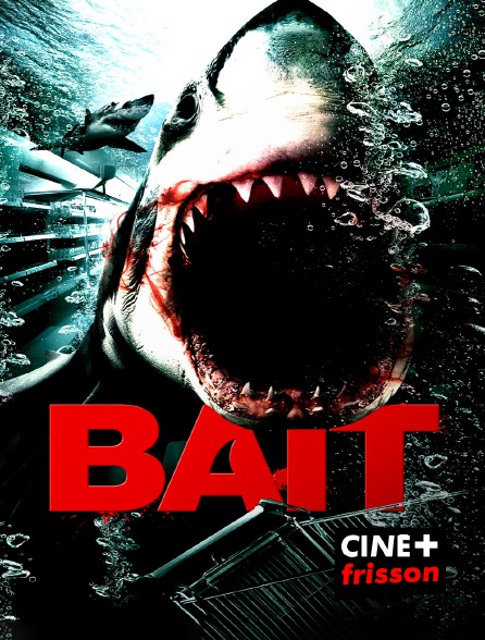 Bait en streaming & replay sur CINE+ Frisson