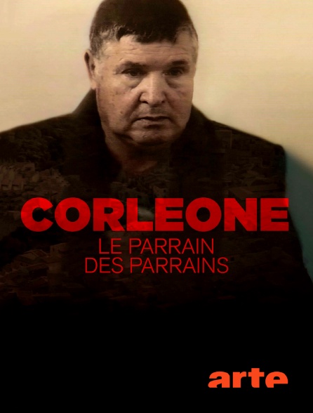 Regarder Arte en replay - Streaming replay de Arte sur Molotov TV