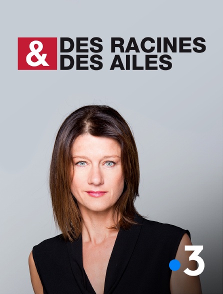 Regardez Des racines et des ailes sur France 3 avec Molotov