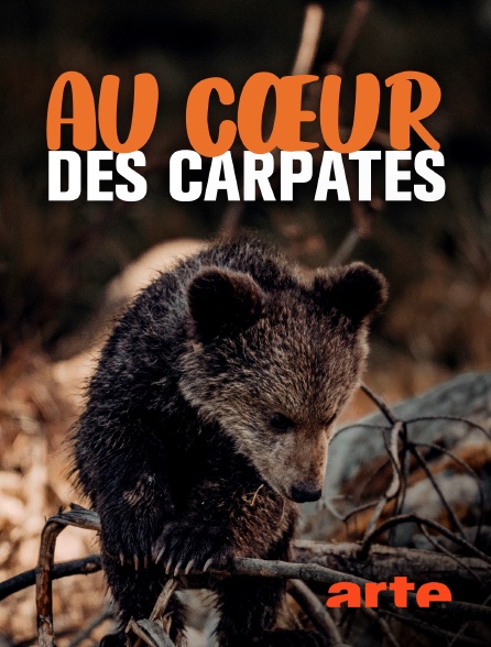 Arte Direct Live Streaming - Arte en live sur internet | Molotov TV