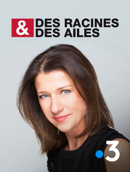 Des racines et des ailes en Streaming & Replay sur France 3 - Molotov.tv