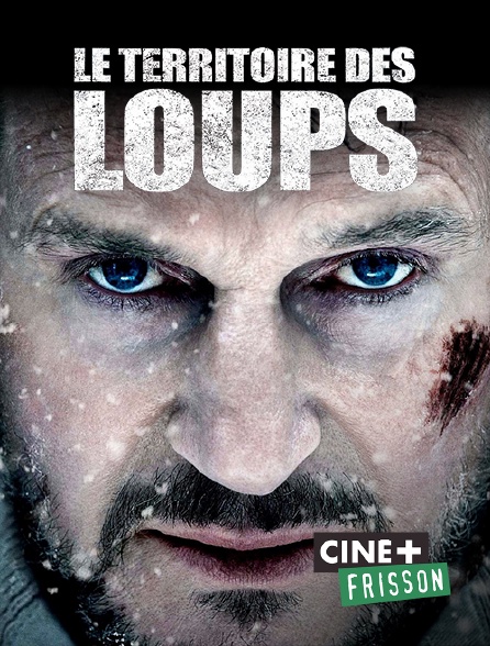 Regarder Ciné+ Frisson en replay - Streaming replay de Ciné+ Frisson ...