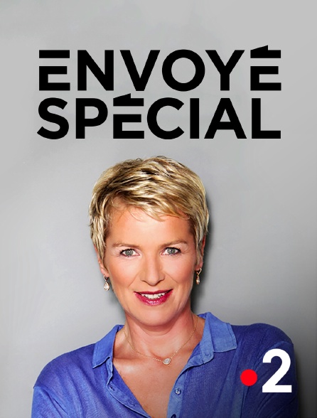 Envoyé spécial en Streaming & Replay sur France 2 - Molotov.tv