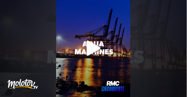 Aqua Machines en streaming gratuit sur RMC Découverte