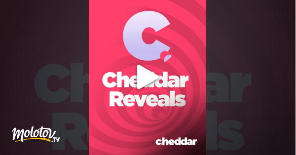 Cheddar Reveals en streaming sur Cheddar News
