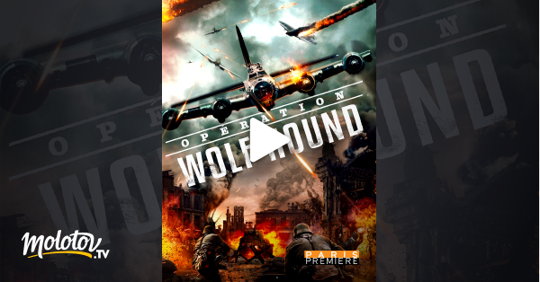 Opération Wolf Hound en streaming & replay sur Paris Première