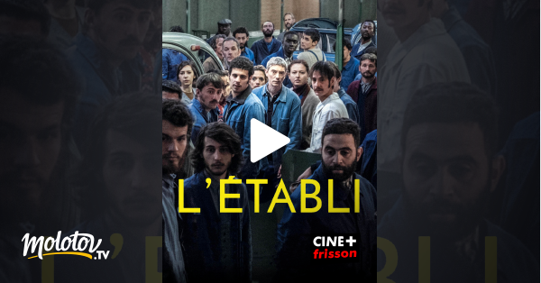 L'Etabli en streaming sur CINE+ Frisson