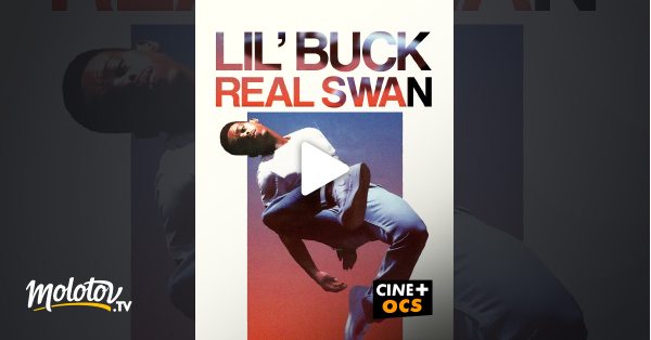 Lil' Buck : Real Swan en streaming sur CINÉ Cinéma
