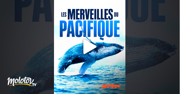 Les merveilles du Pacifique en streaming gratuit sur Arte