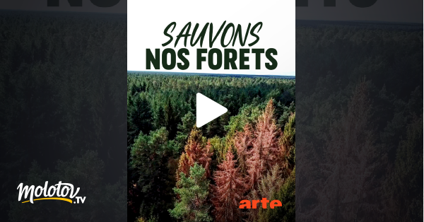 Sauvons nos forêts en streaming gratuit Sauvons nos forêts en streaming gratuit