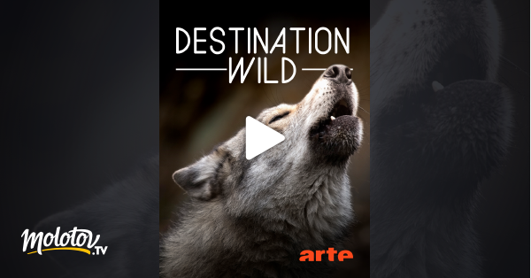 Destination Wild en streaming gratuit sur Arte