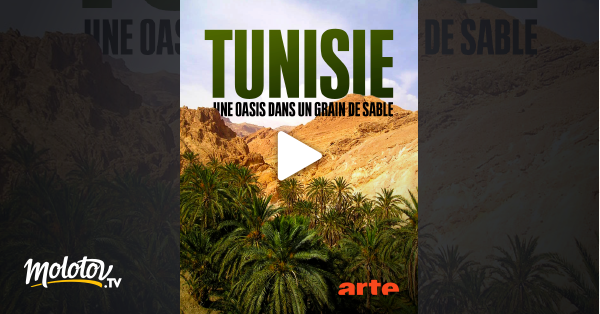 Tunisie, une oasis dans un grain de sable en streaming gratuit sur Arte