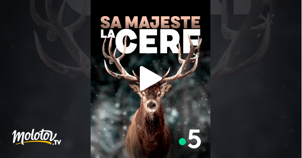 Sa majesté le cerf en streaming gratuit sur France 5
