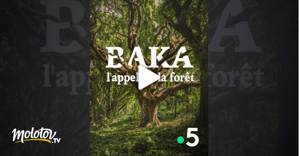 Baka, l'appel de la forêt en streaming gratuit sur France 5
