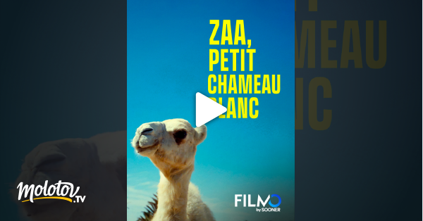 Zaa, Petit Chameau blanc en streaming sur FilmoTV