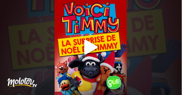 Voici Timmy : La surprise de Noël de Timmy en streaming sur Gulli