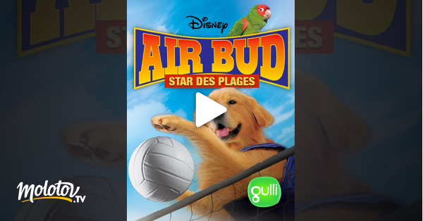 Air Bud star des plages / Air Bud Superstar / Air Bud 5 en streaming sur Gulli