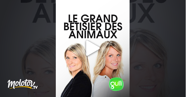 Le Grand Bêtisier Des Animaux En Streaming Sur Gulli