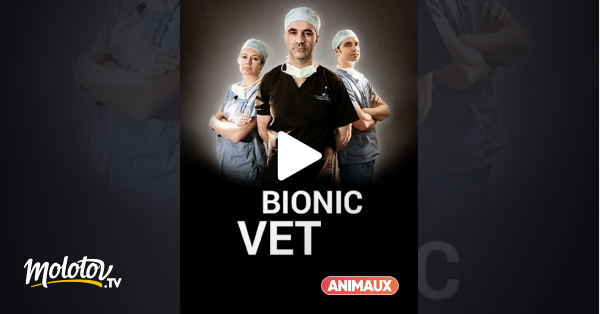 Bionic Vet' en streaming sur Animaux