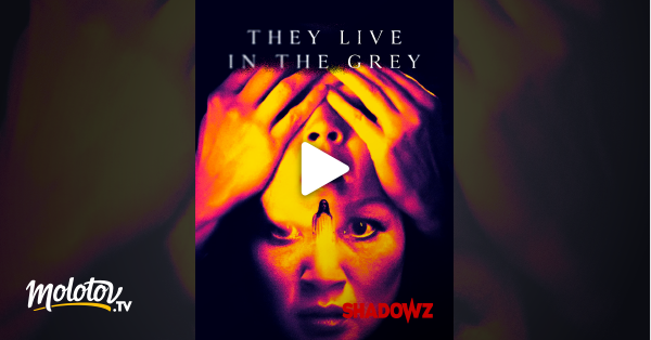They Live in the Grey en streaming sur Shadowz