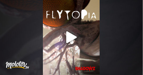 Flytopia en streaming sur Shadowz