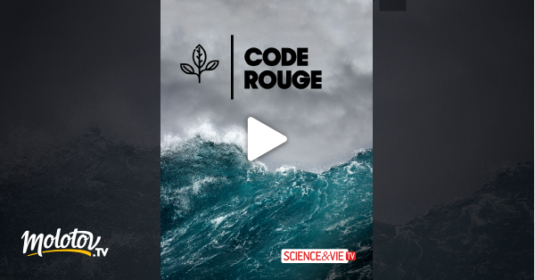 Code rouge en streaming sur Science et Vie TV