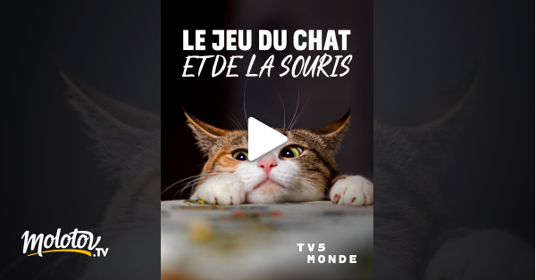 Le jeu du chat et de la souris en streaming sur TV5MONDE