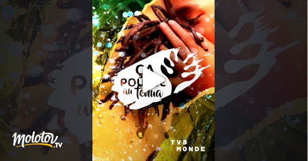 Ça pousse au fenua en streaming sur TV5MONDE