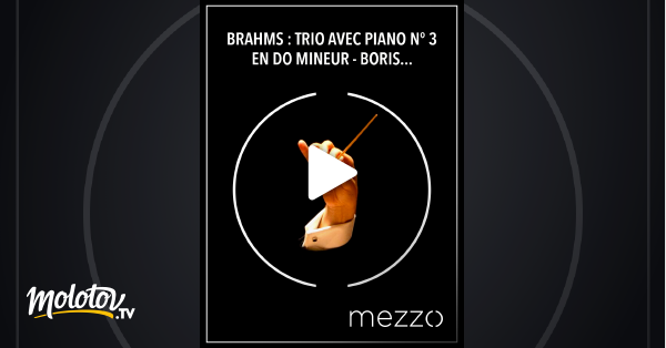 Brahms : Trio avec piano n° 3 en do mineur - Boris Pergamenschikow, Elena Bashkirova, Maxim ...