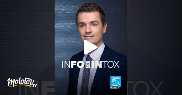 Info Intox en streaming & replay gratuit sur France 24