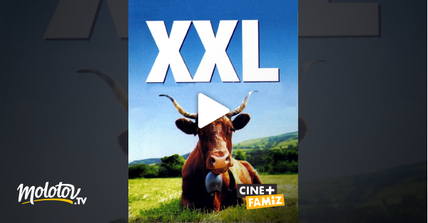 XXL en streaming sur Ciné+ Famiz